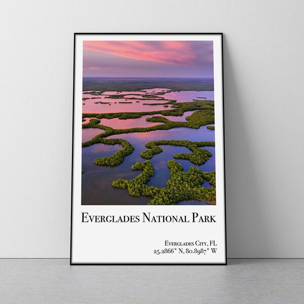 Florida Everglades - Etsy