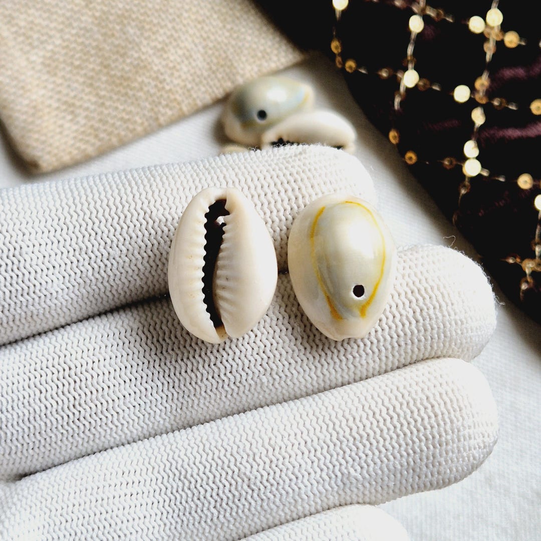 24x17mm Shell Charm, Shell to Make Jewelry, Loose Shell, Shells for ...