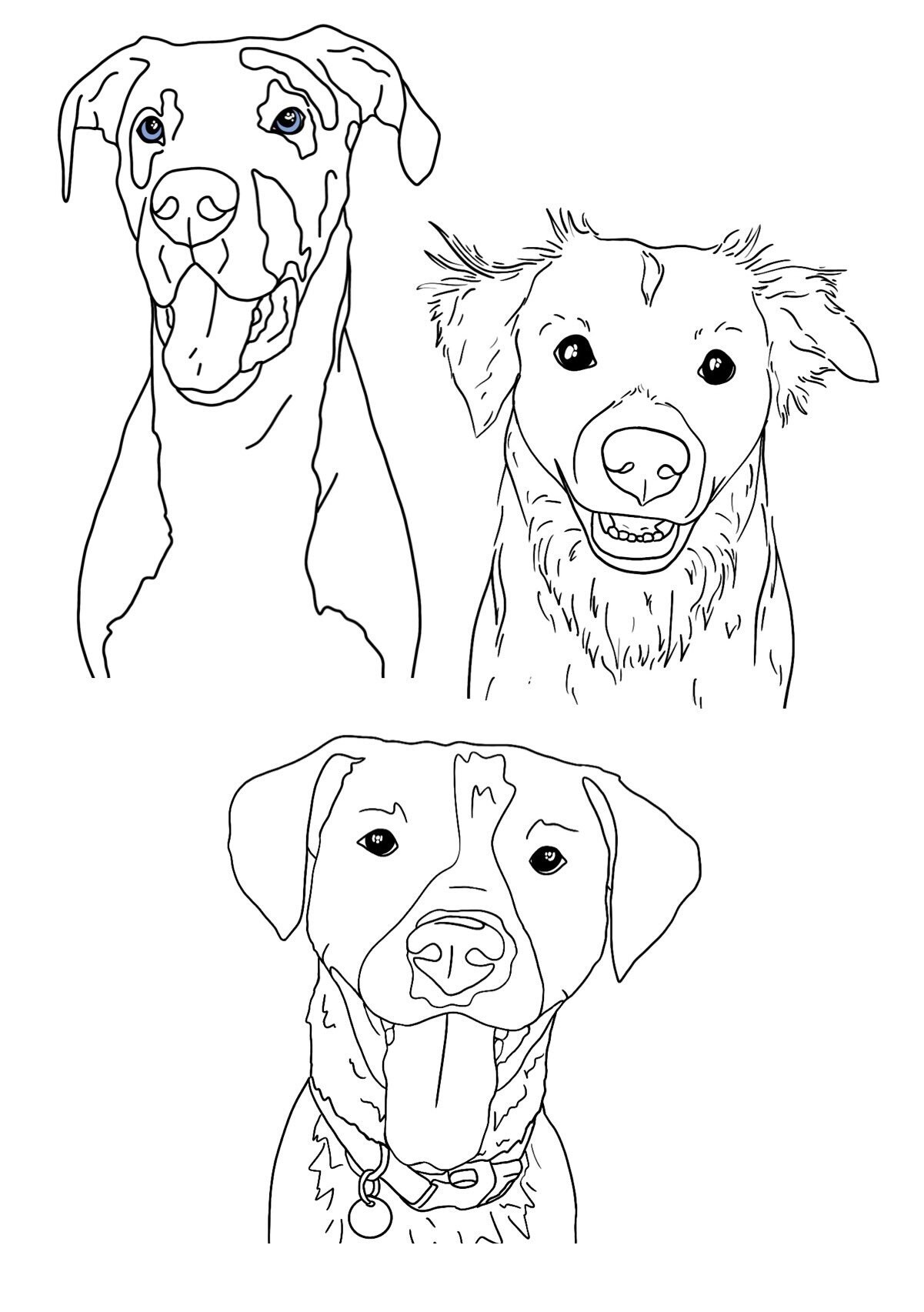 COSTOM Digital Pet Art Dog Portrait Pet Portrait Custom Pet - Etsy