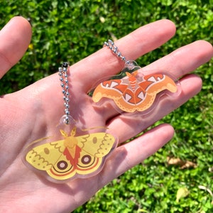 Moth Gacha Mystery Acrylic Charms - Etsy