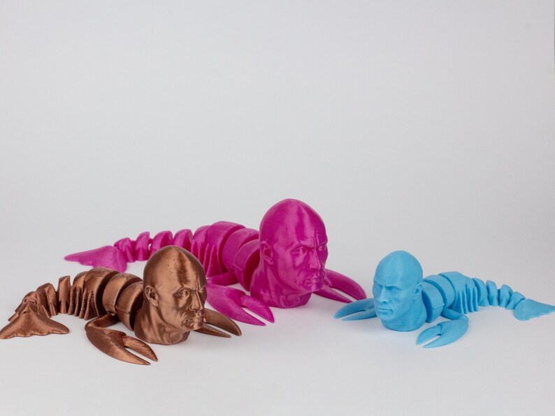 The Rock Lobster Custom Colors 3D Printed Fidget Toy - Etsy Australia