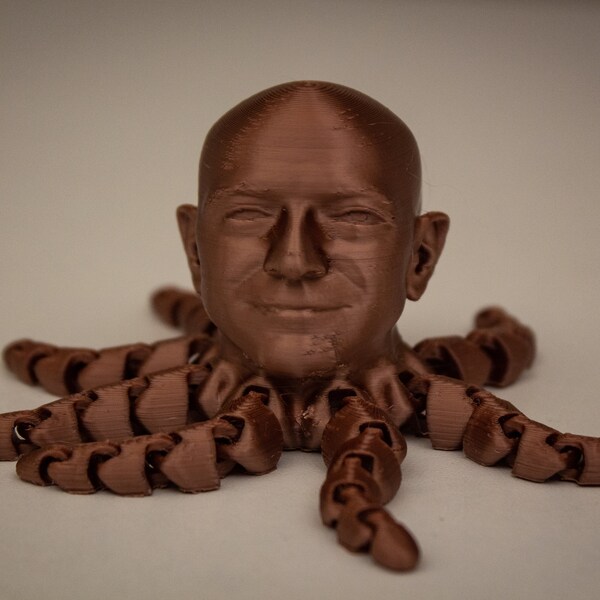 3d Printed the Rock Octopus - Etsy