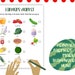 Printable Farmers Market Scavenger Hunt, Kids Treasure Hunt, Print at ...