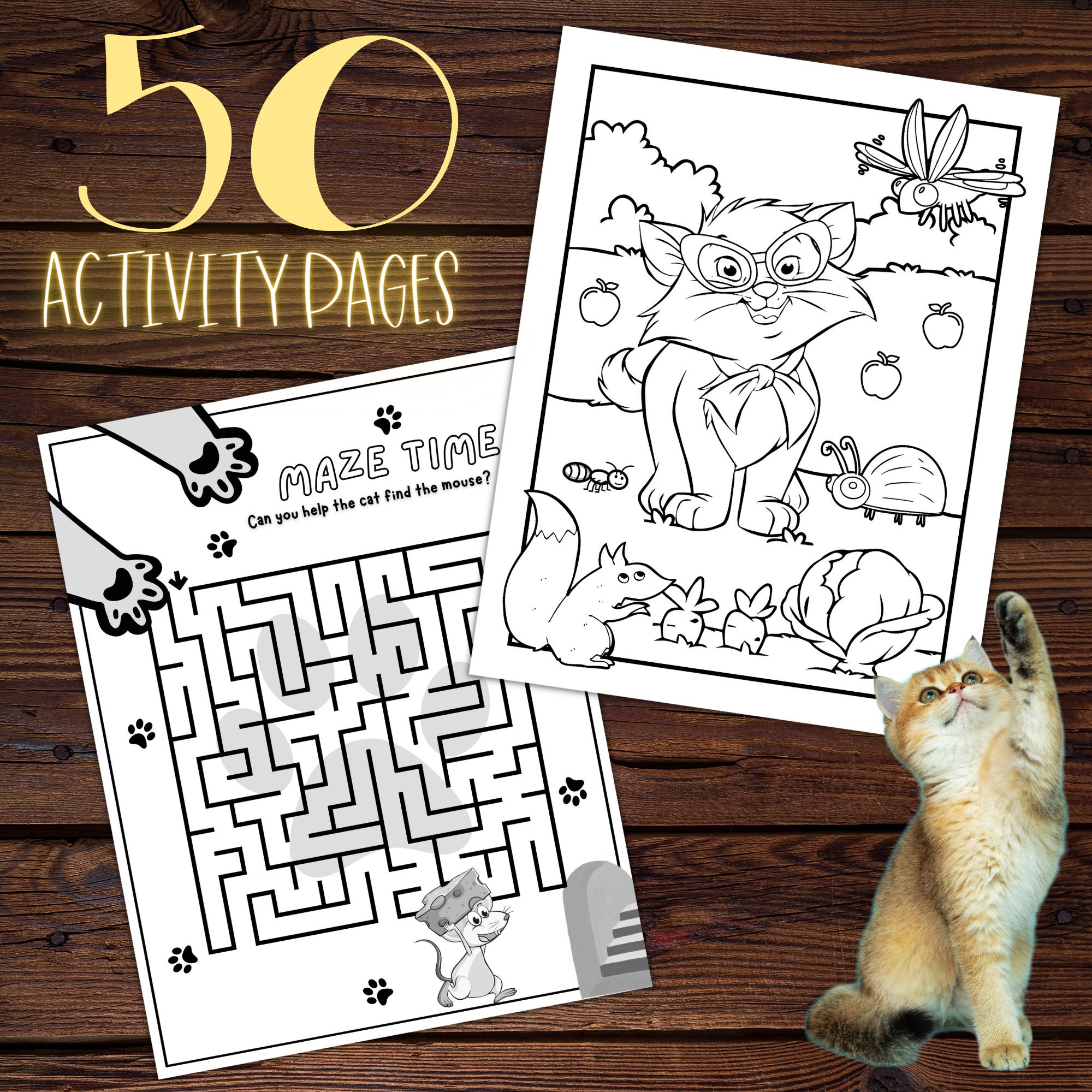 Cat Activity Pages for Kids - Etsy