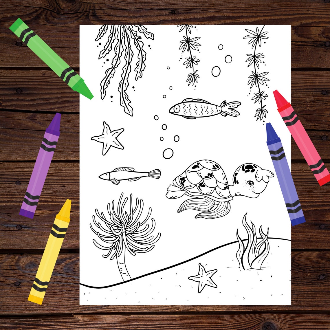 Printable Sea Life Coloring Pages, 36 Ocean Coloring Sheets for Kids - Etsy