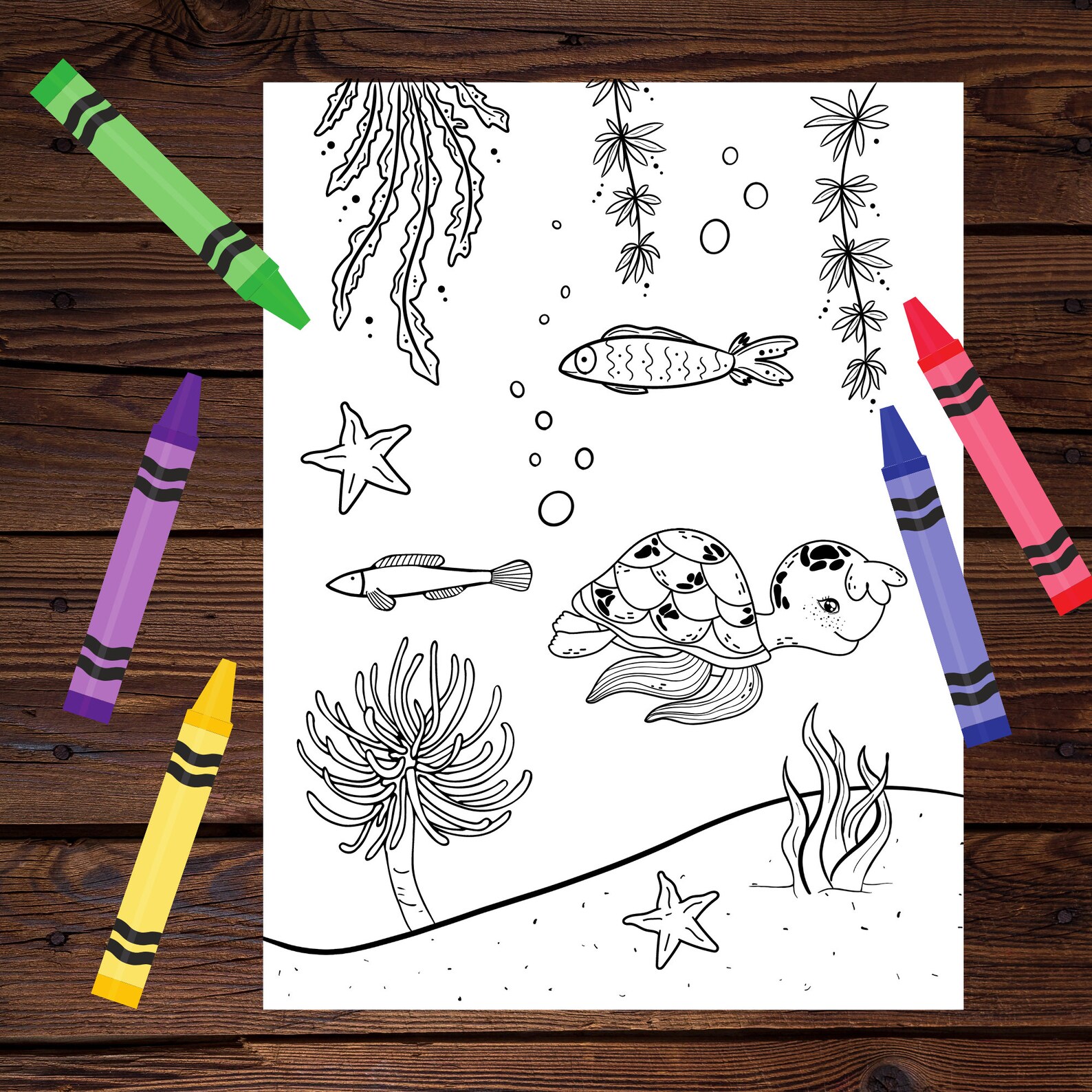 Printable Sea Life Coloring Pages, 36 Ocean Coloring Sheets for Kids - Etsy