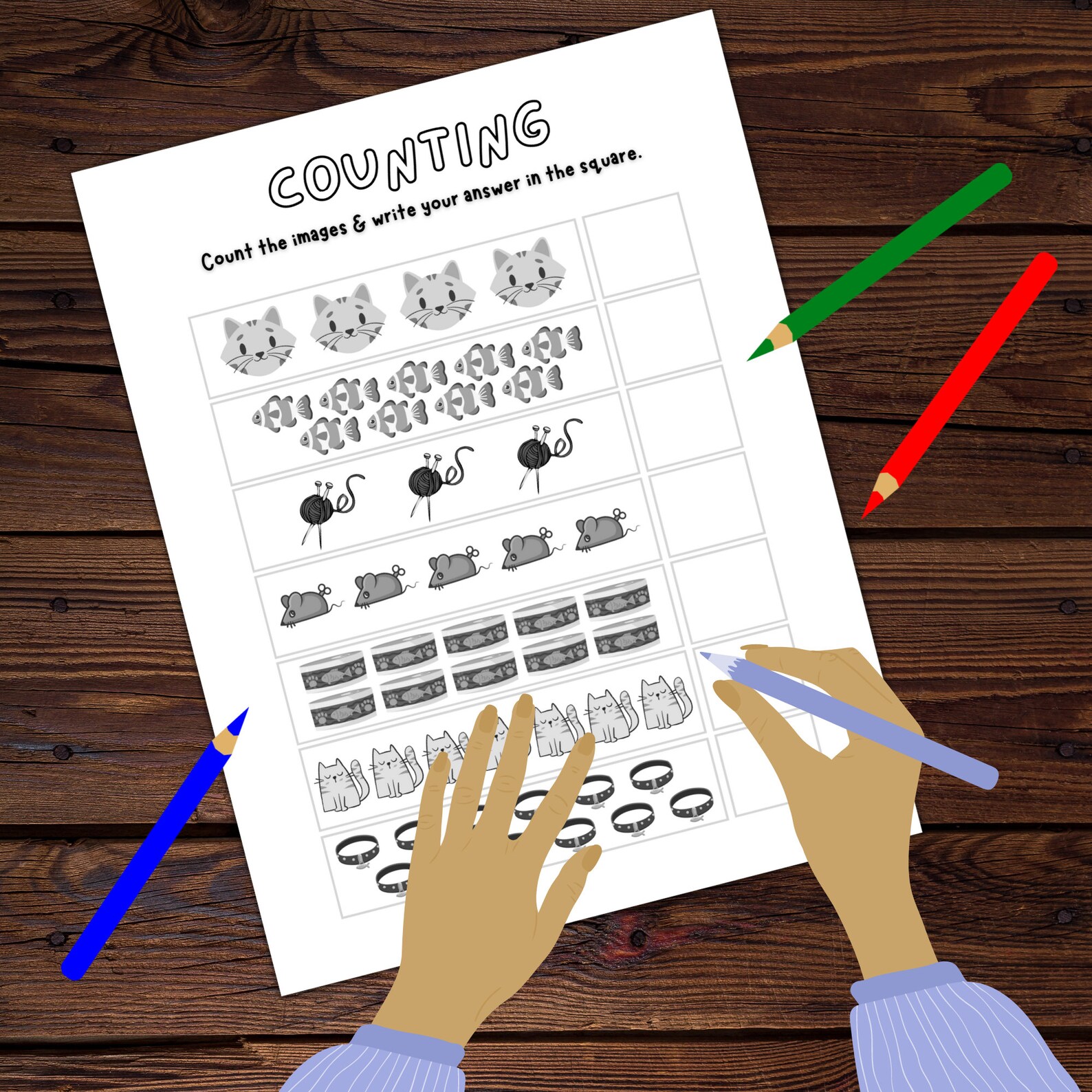 Cat Activity Pages for Kids - Etsy