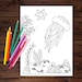 Printable Sea Life Coloring Pages, 36 Ocean Coloring Sheets for Kids - Etsy