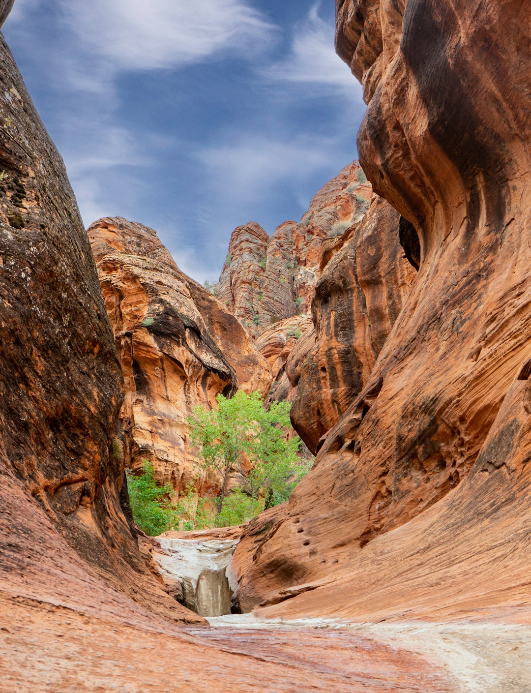 Red Reef Canyon Print - Etsy