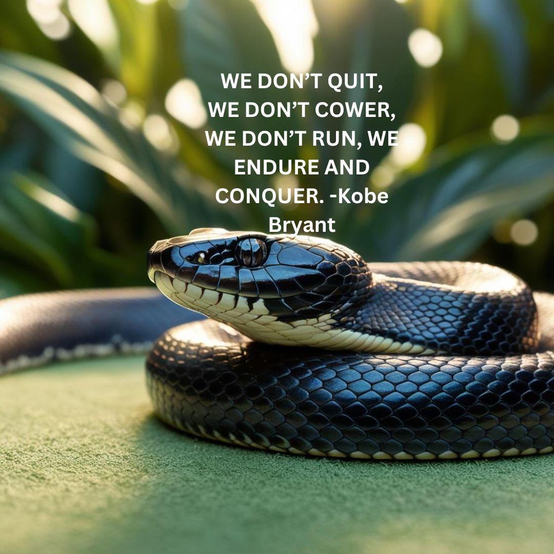 Black Mamba Snake Art: Kobe Bryant Quote, Serpent Spirit - Etsy