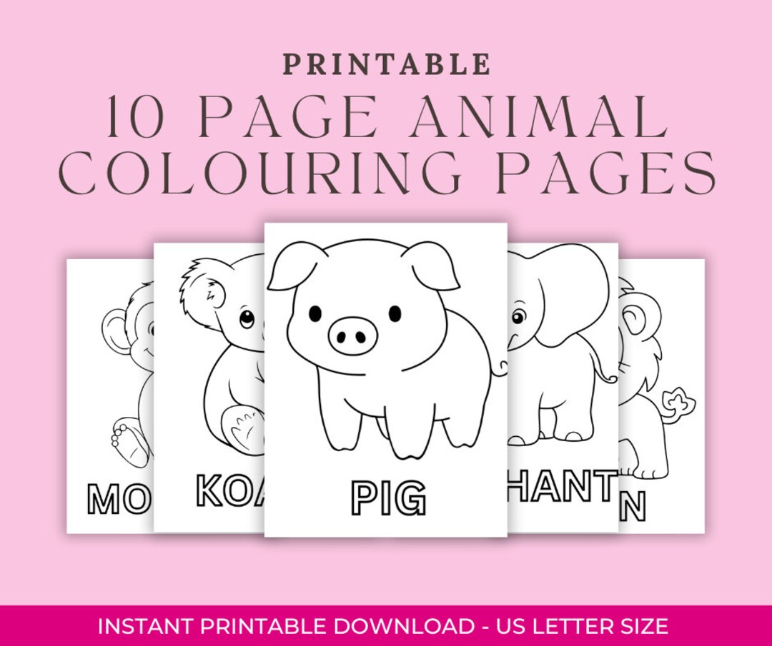 Printable 10 Page Colouring Animal Themed Bundle - Etsy
