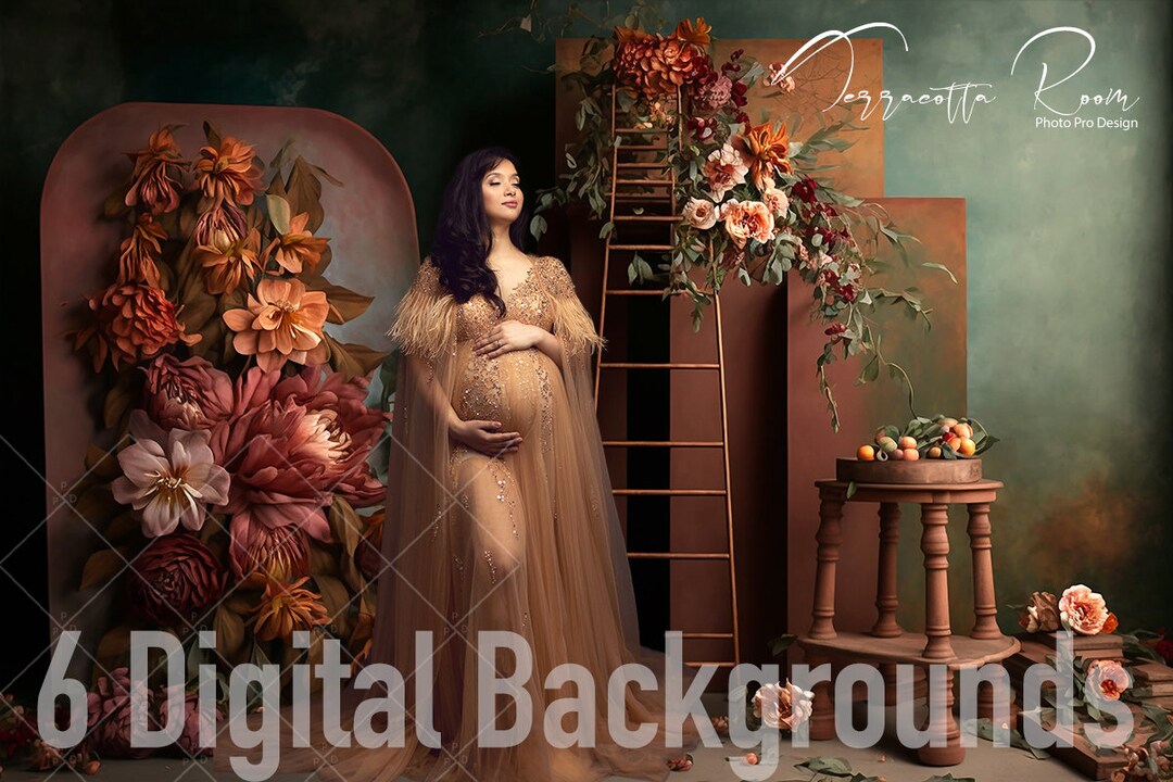 Terracotta Room Collection Digital Backdrops Maternity - Etsy