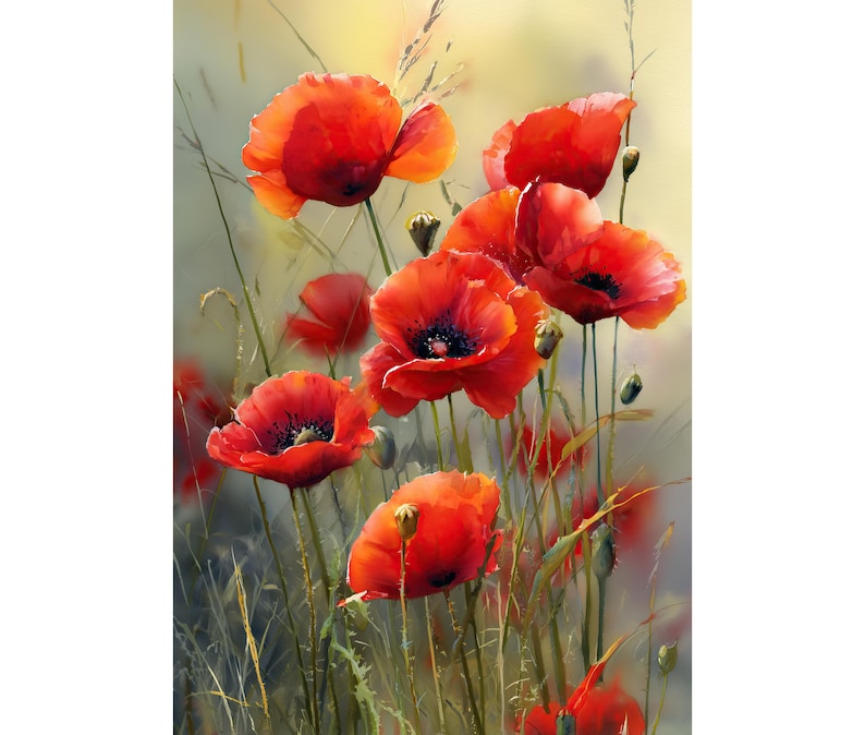 Red Poppy Watercolor Art Print, Flower Wall Art, Botanical Wildflower ...