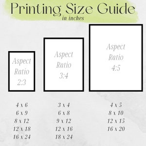 Speech Language Pathology Scope of Practice, SLP Big Nine, SLP Wall ...