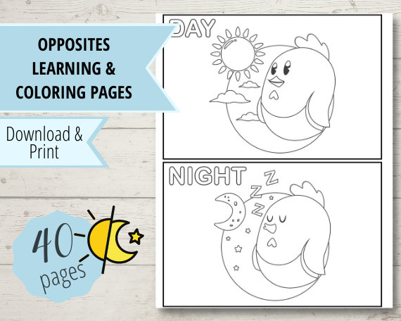 Opposites Learning & Coloring Pages Teaching Opposites in - Etsy