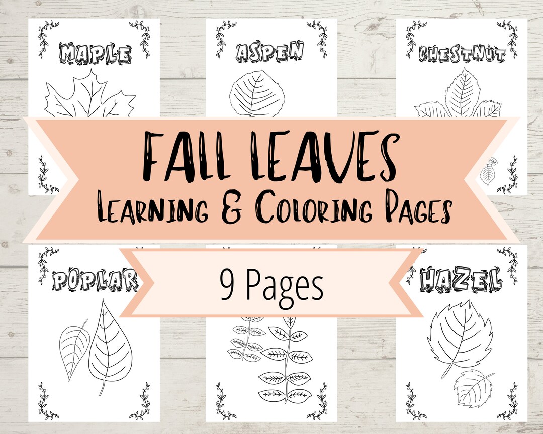 Fall Leaf Coloring Pages - Learn Leaves & Trees With These Learning and ...