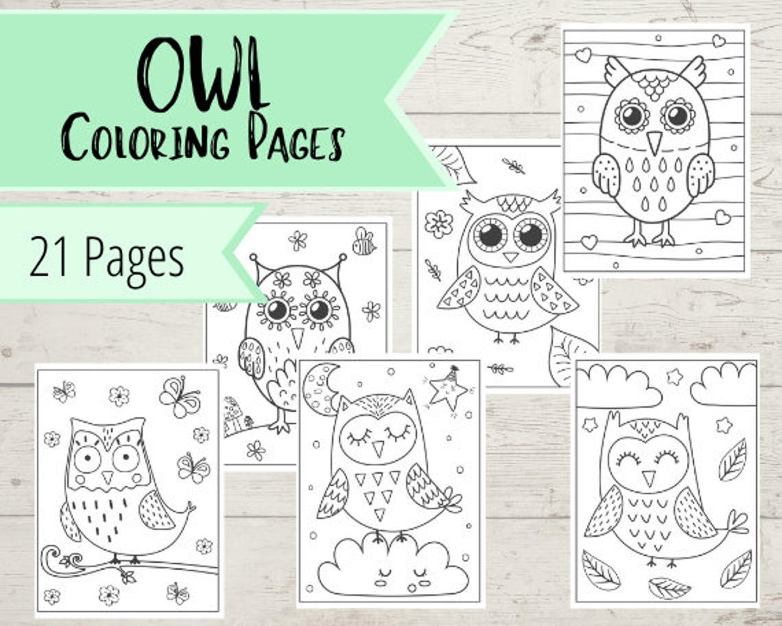 Owl Coloring Book Pages 21 Owl Pictures to Color Owls - Etsy