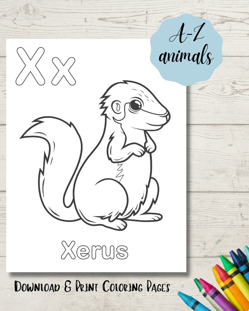A-Z Animals Coloring Pages for Toddlers & Preschoolers - Etsy