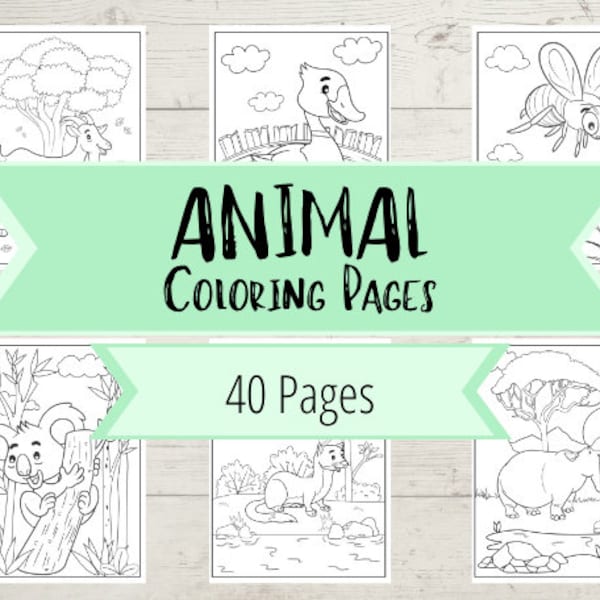 Baby Book Pages - Etsy