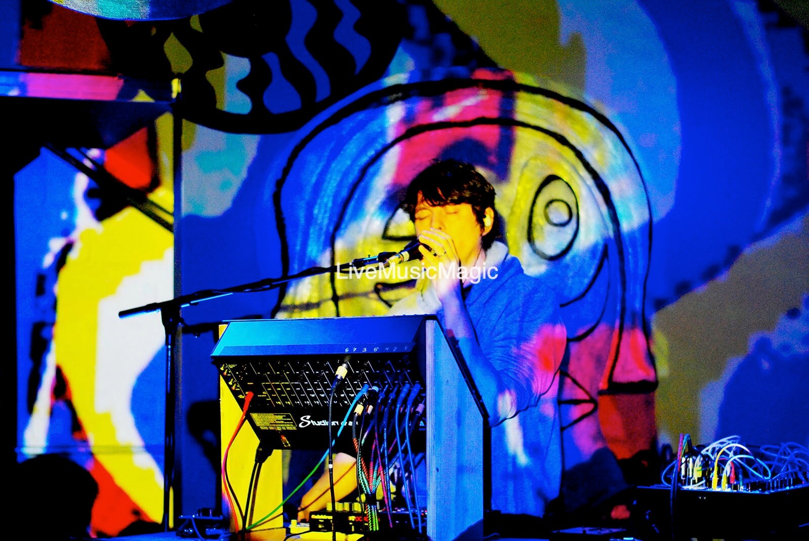 Animal Collective Live