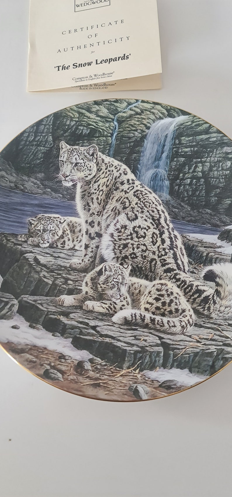 The Snow Leopards Plate - Etsy