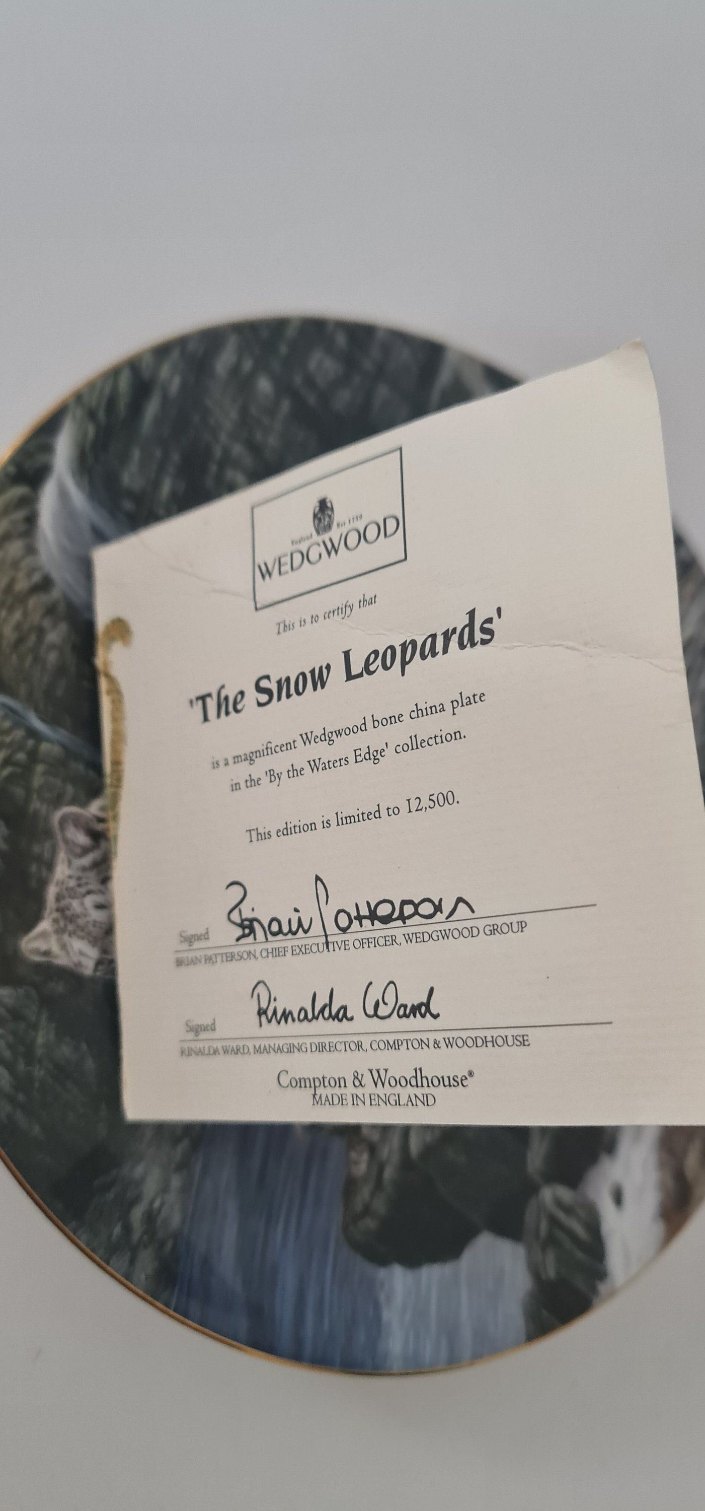 The Snow Leopards Plate - Etsy