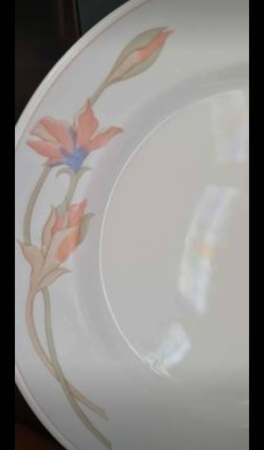 5 X Fine China Plates by Dudson - Etsy