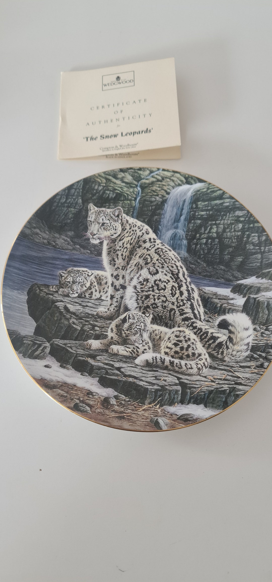The Snow Leopards Plate - Etsy
