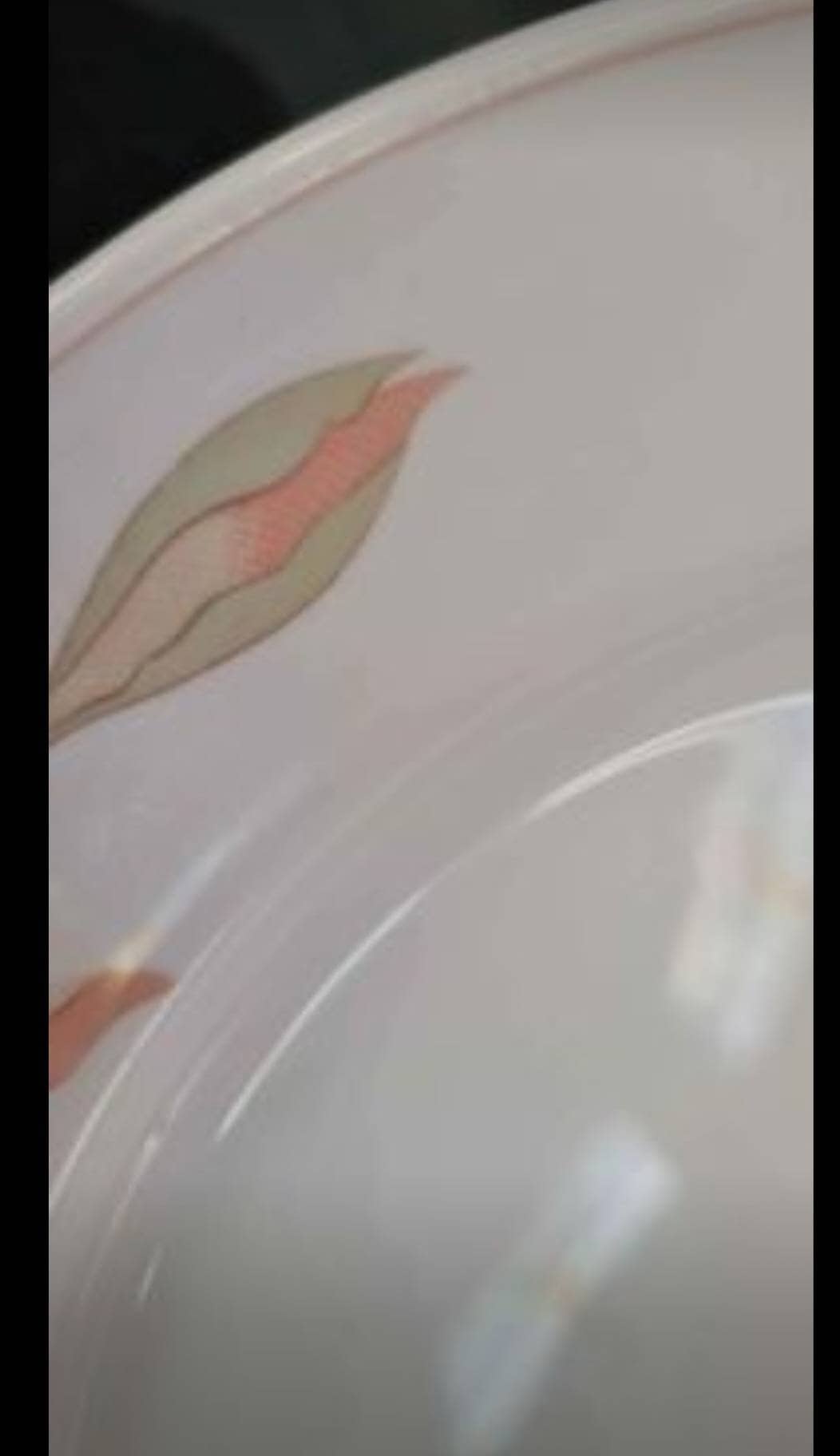 5 X Fine China Plates by Dudson - Etsy