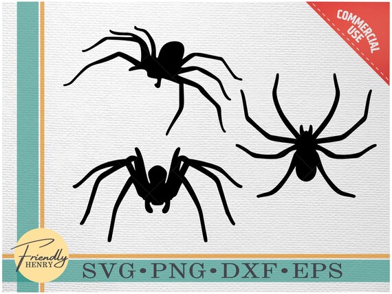 Friendly Spiders Clipart