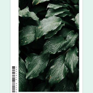 Green Photo Wall Collage Kit 15 Pieces DIGITAL DOWNLOAD 4x6 Inch Green ...
