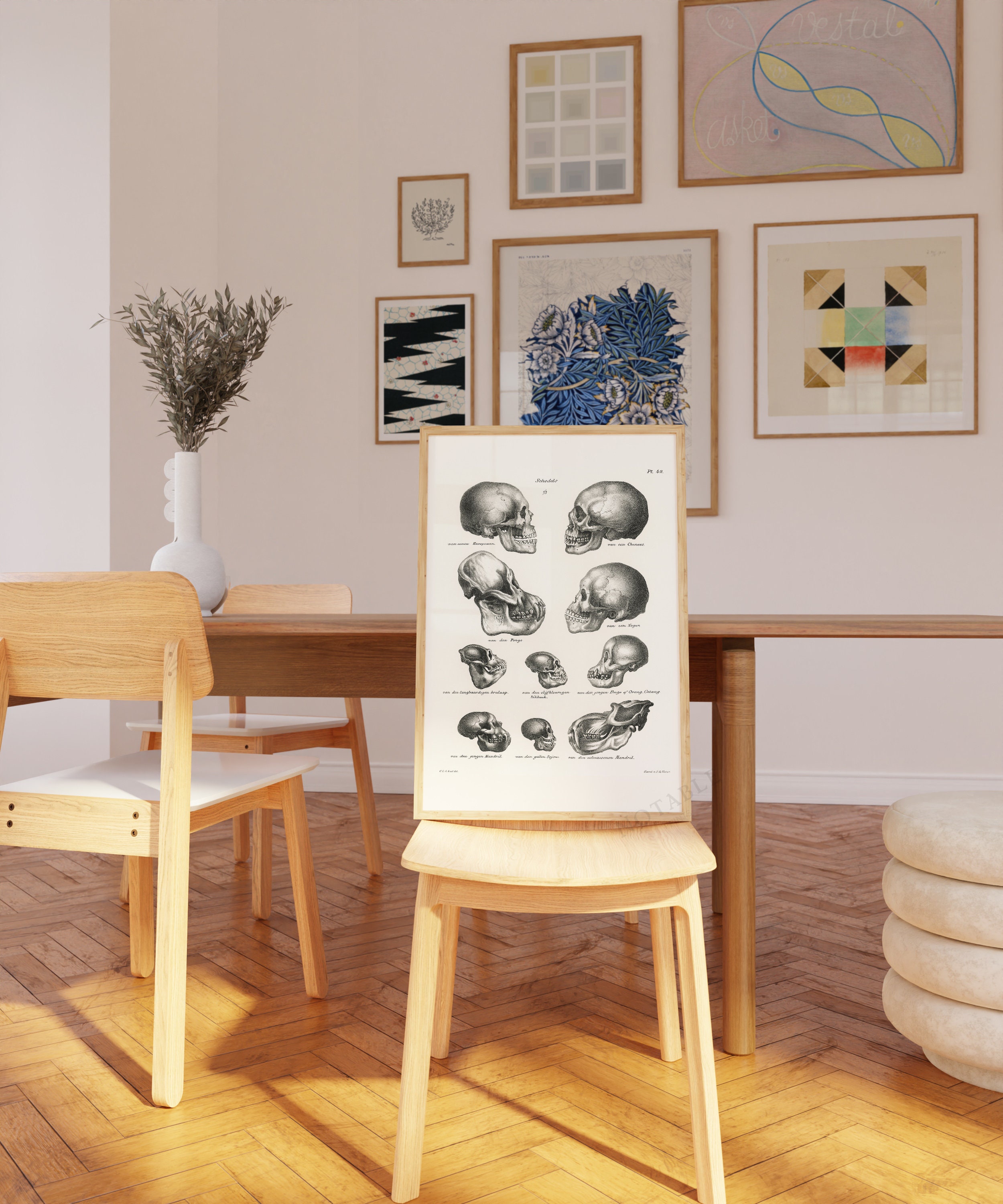 Vintage Science Illustration Poster Human Monkey and Ape - Etsy