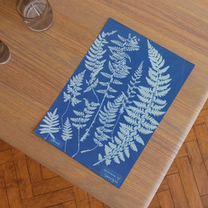 Anna Atkins Botanical Print, Cyanotype Impressions, Ferns, Ship From Uk ...