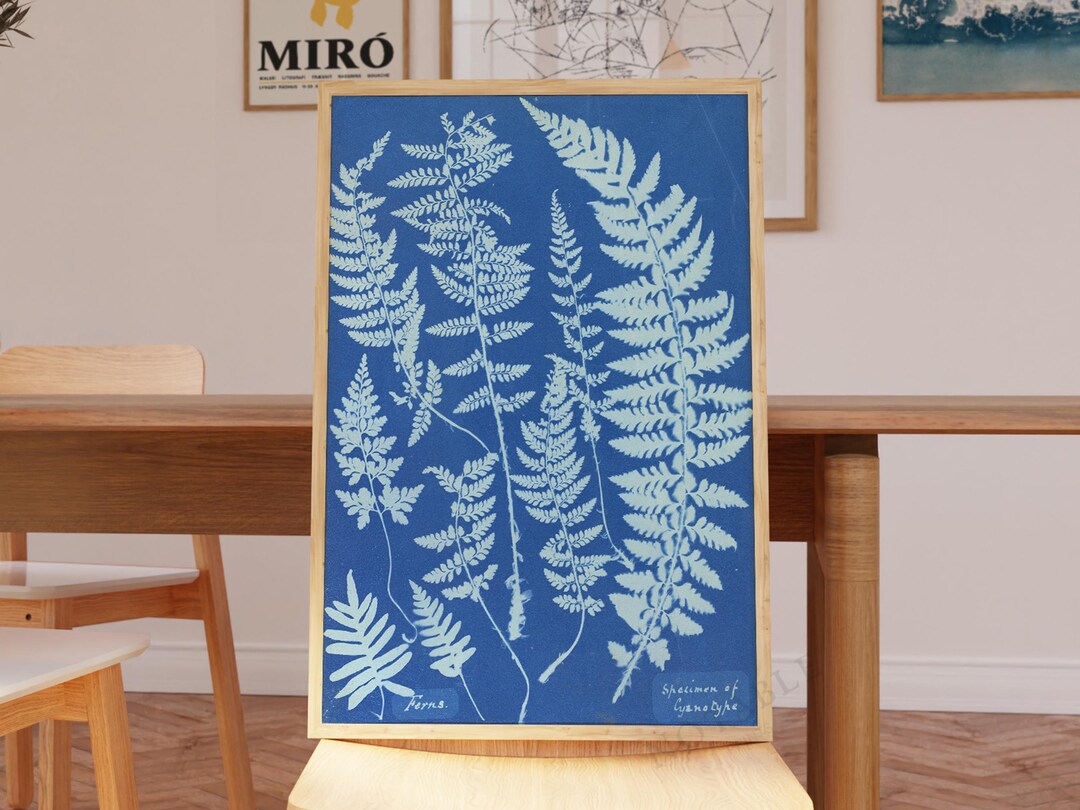 Anna Atkins Botanical Print, Cyanotype Impressions, Ferns, Ship From Uk ...