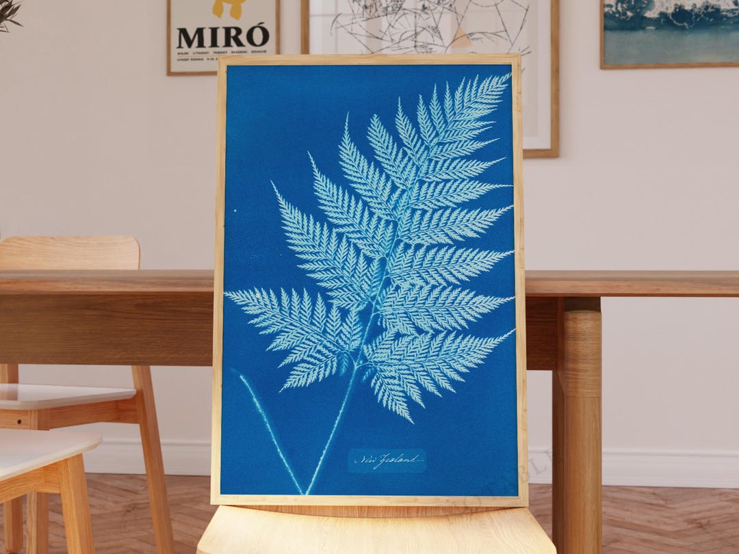 Anna Atkins Botanical Print, Cyanotype Impressions, Fern-like Leaf ...