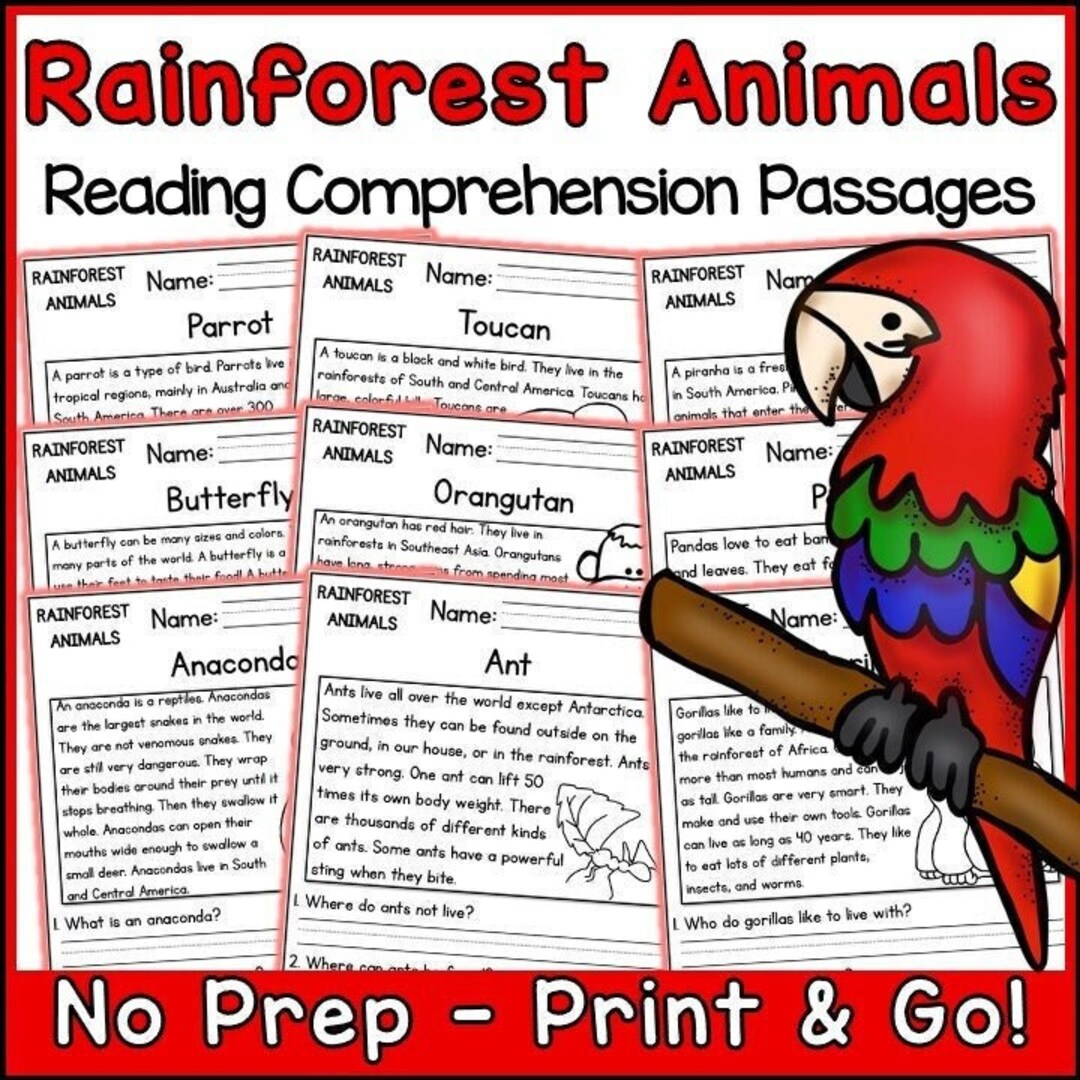 Rainforest Animals K-2 Reading Comprehension Passages Bundle Homeschool ...