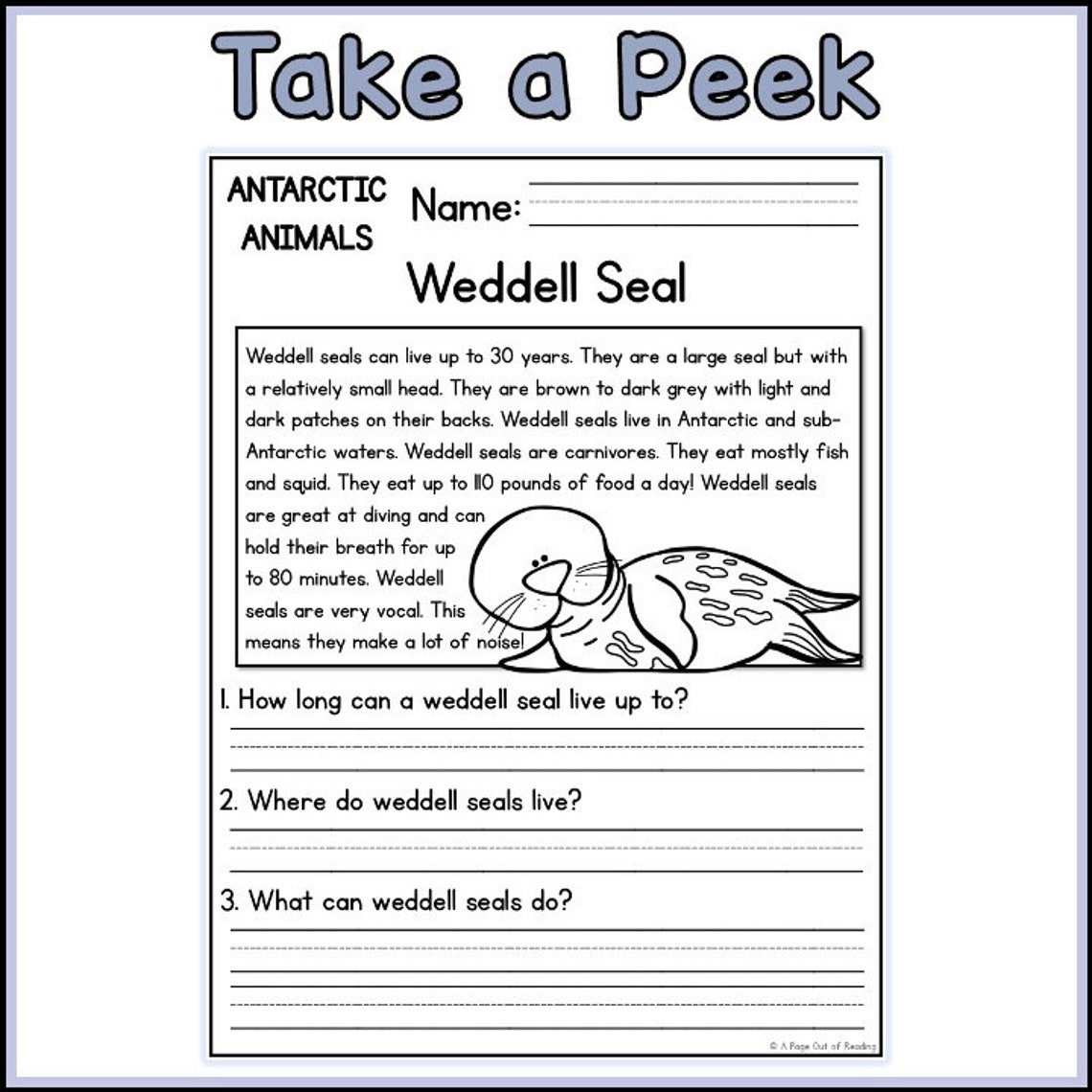 Antarctic Animals Reading Comprehension Passages and Questions ...