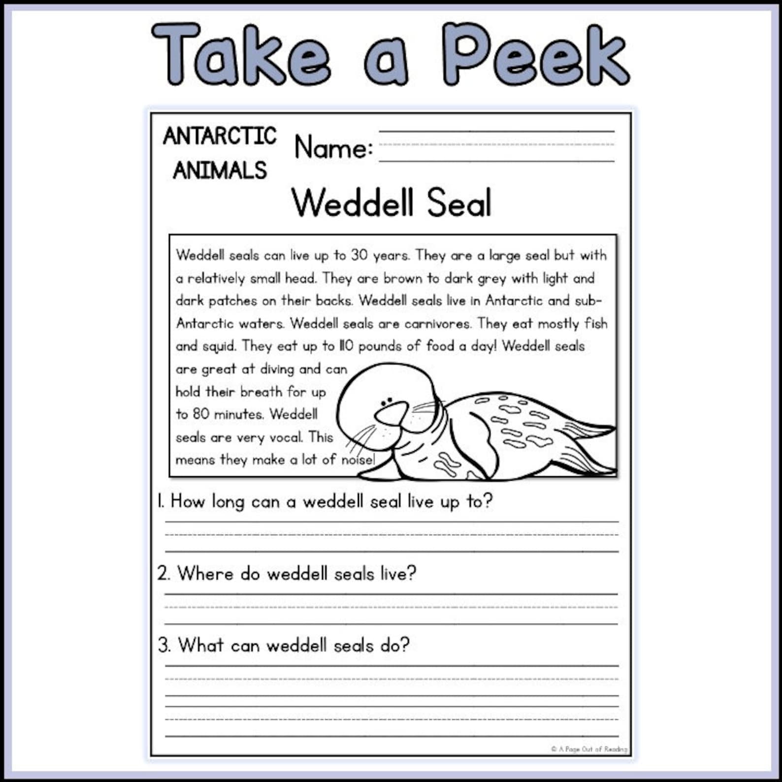 Antarctic Animals Reading Comprehension Passages and Questions ...