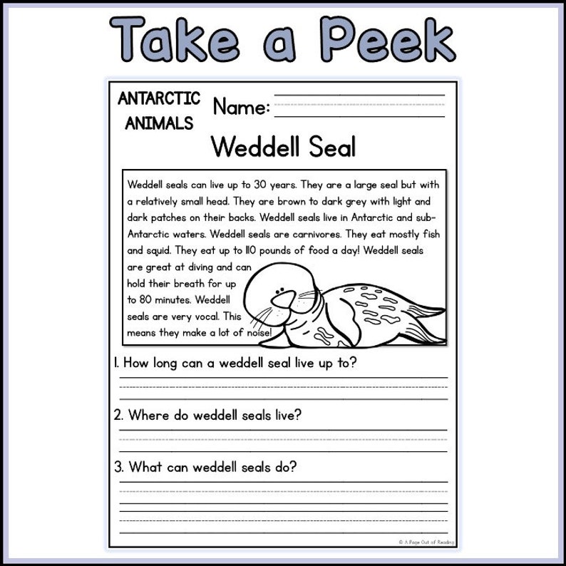 Antarctic Animals Reading Comprehension Passages and Questions Science ...