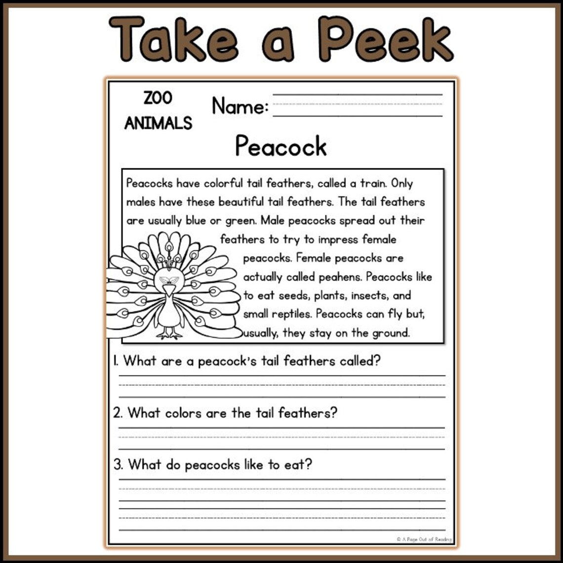 Zoo Animals Reading Comprehension Passages and Questions | Science ...