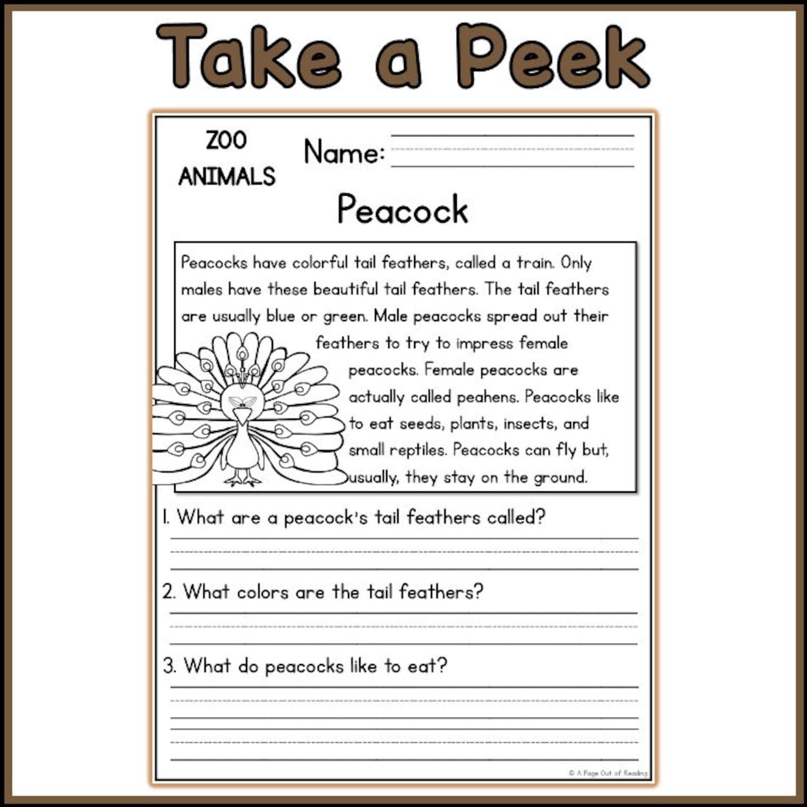 Zoo Animals Reading Comprehension Passages and Questions | Science ...