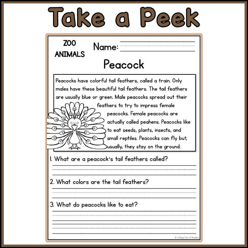 Zoo Animals Reading Comprehension Passages and Questions | Science ...