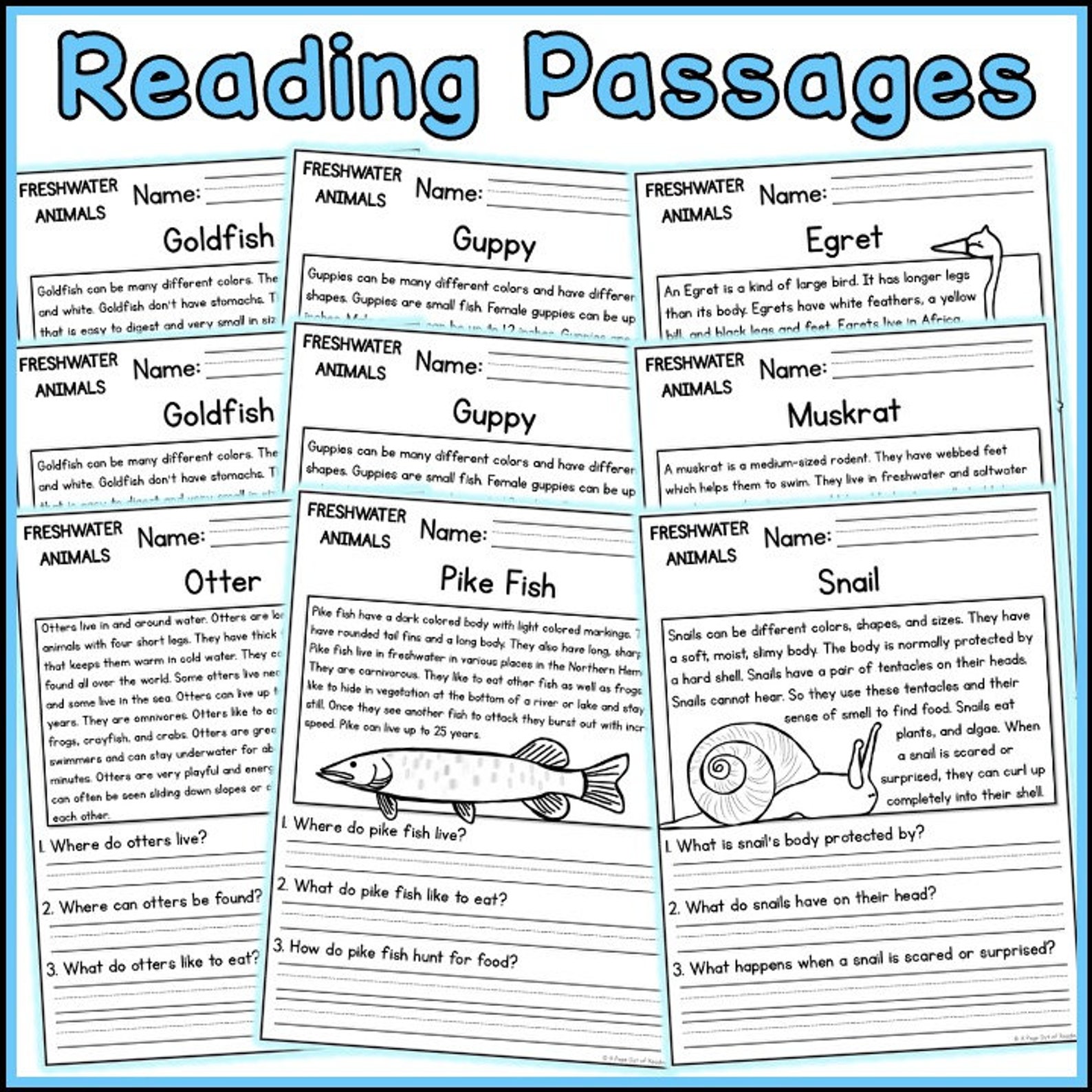 Freshwater Animals Reading Comprehension Passages and Questions ...