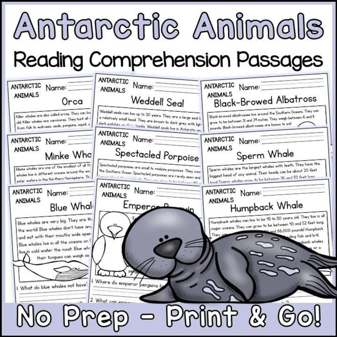 Antarctic Animals Reading Comprehension Passages and Questions ...