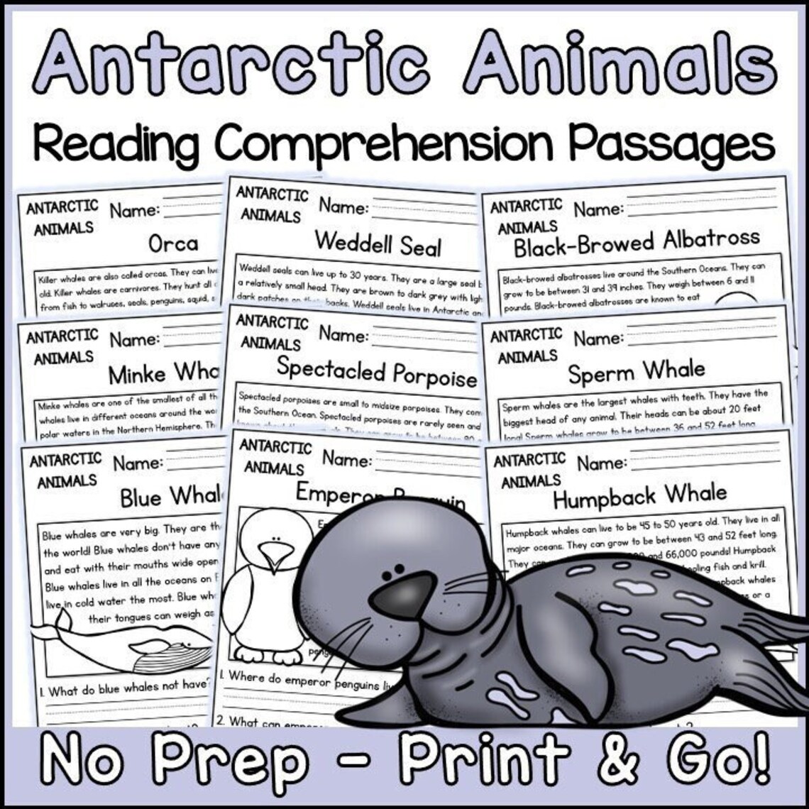 Antarctic Animals Reading Comprehension Passages and Questions ...
