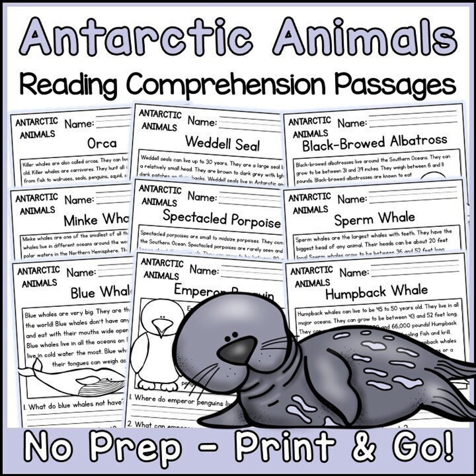 Antarctic Animals Reading Comprehension Passages and Questions ...