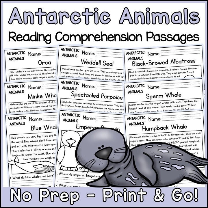 Antarctic Animals Reading Comprehension Passages and Questions ...