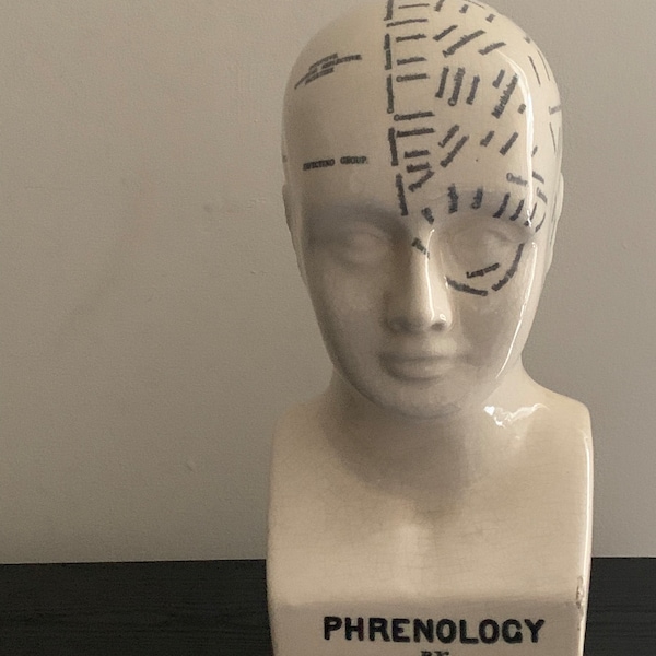 Phrenology Head - Etsy