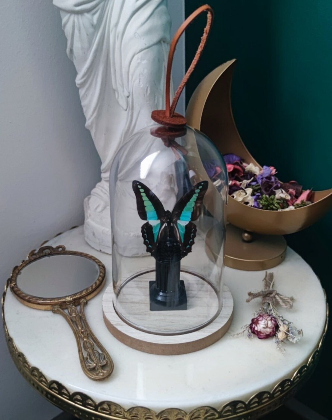 Hummingbird Butterfly graphium Sarpedon in Decorative Bell Taxidermy ...