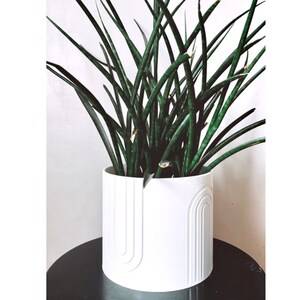 Rainbow Wave Plant Pot in White, Black, Olive Green, Blue and Wood | 3 ...